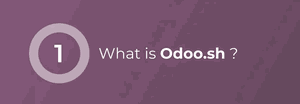 Tout comprendre sur Odoo.sh | www.auneor-conseil.fr
